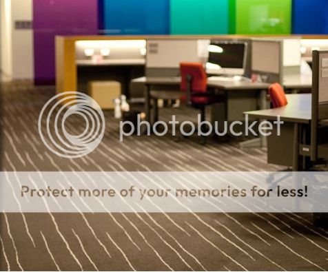 steam off wallpaper | malorietriggpvd